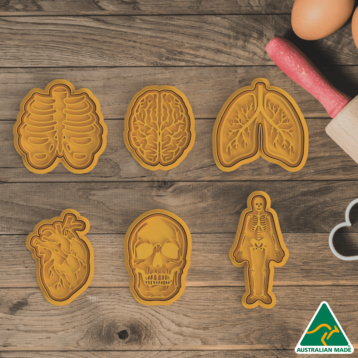 Body Organs Set Cookie Cutter and Embosser Stamp